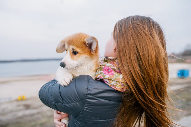 Back View of Woman Embracing Cute Puppy Stock Image - Image of little ...