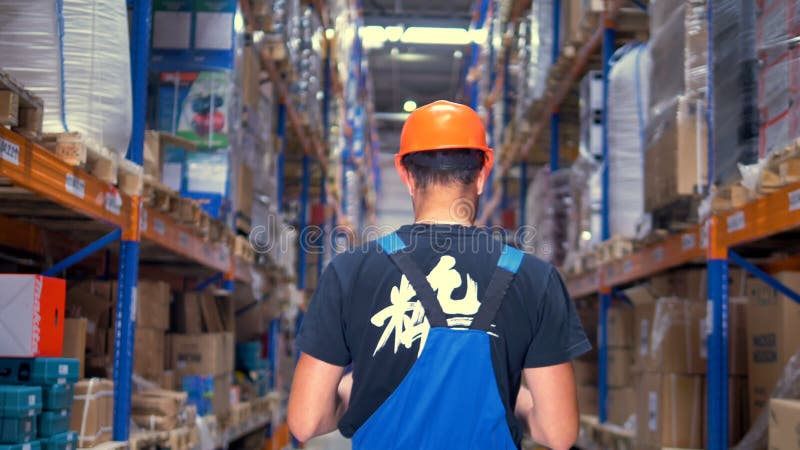 A Back View on a Warehouse Employee Walking an Aisle at a Storage. 4K ...