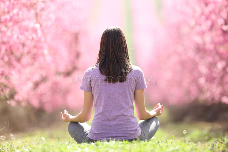 Back View of a Yogi Practicing Yoga in a Flowered Field Stock Image ...
