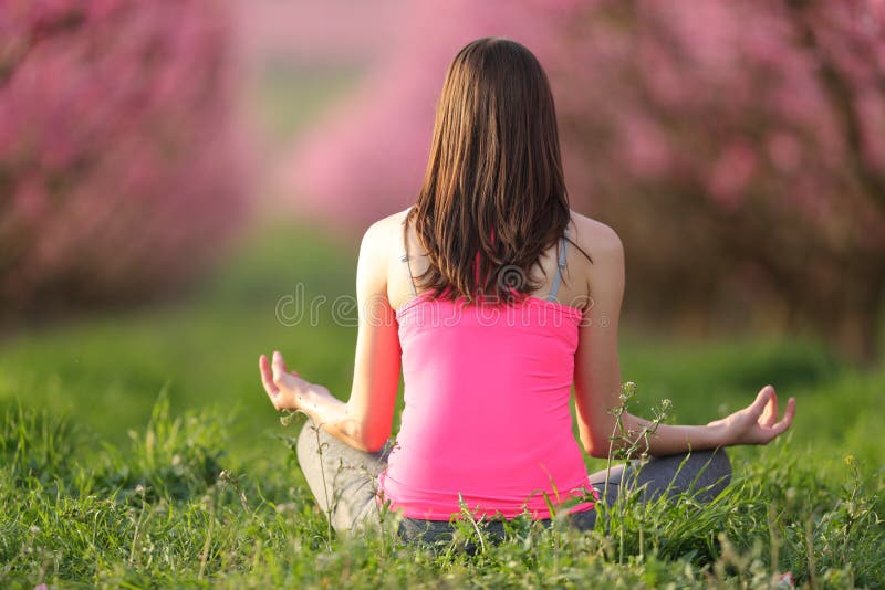 Back View of Yogi Practicing Yoga in a Pink Field Stock Photo - Image ...