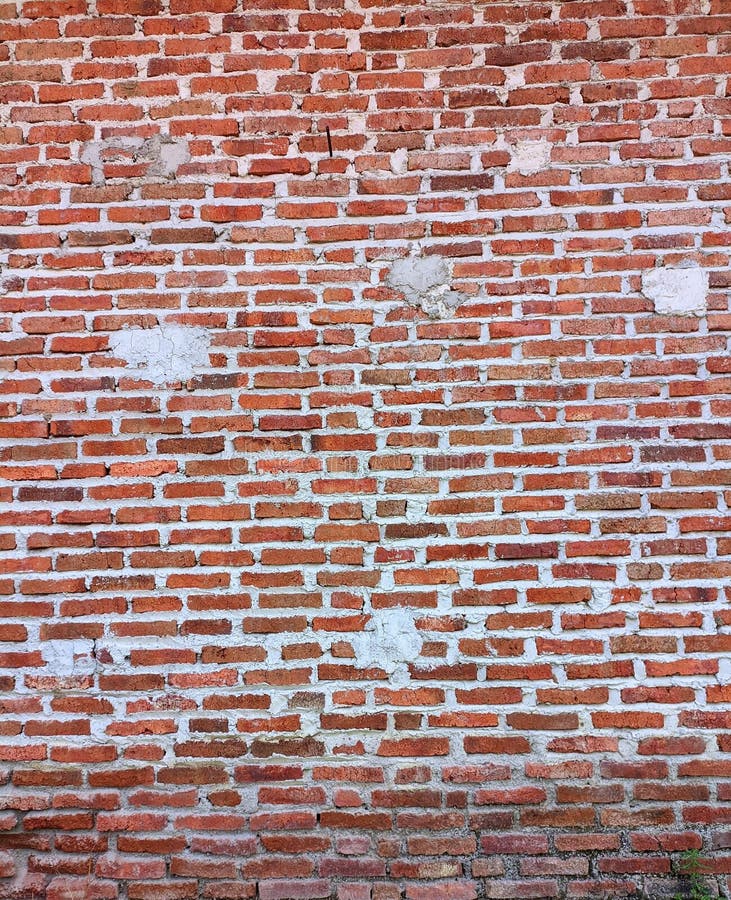 The Back Wall of the House Which is Still in the Form of Red Bricks is ...