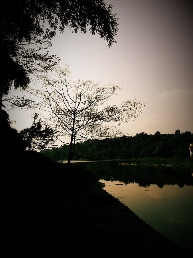 Back water stock photo. Image of evening, back, love - 82626298