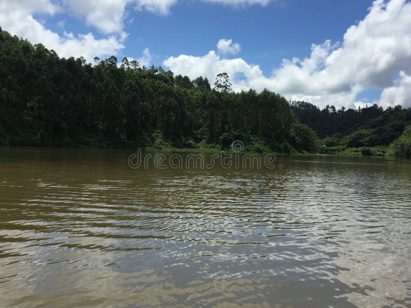 Back Water Inside Forest Blue Sky Stock Photo - Image of water, blue ...