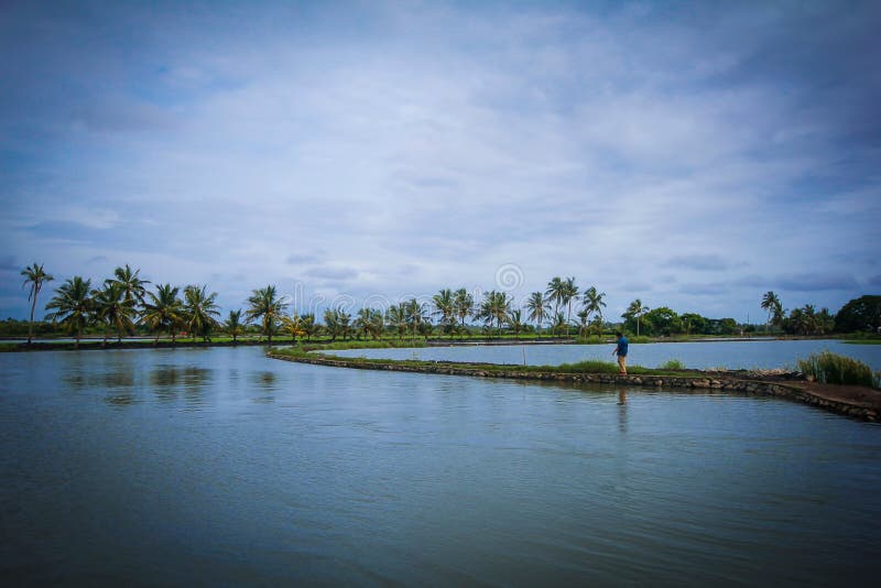 Back water of kerala editorial photography. Image of body - 89434807