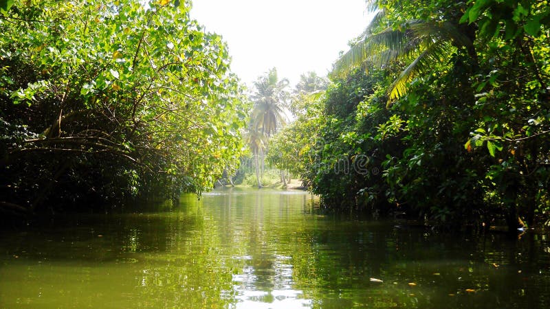 Back water stock image. Image of india, back, garden - 74285891