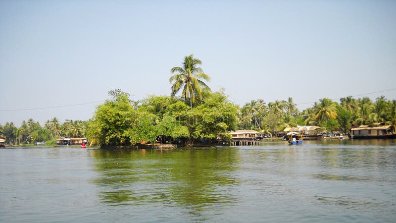 Back water stock photo. Image of blue, nature, boat, tree - 74286502