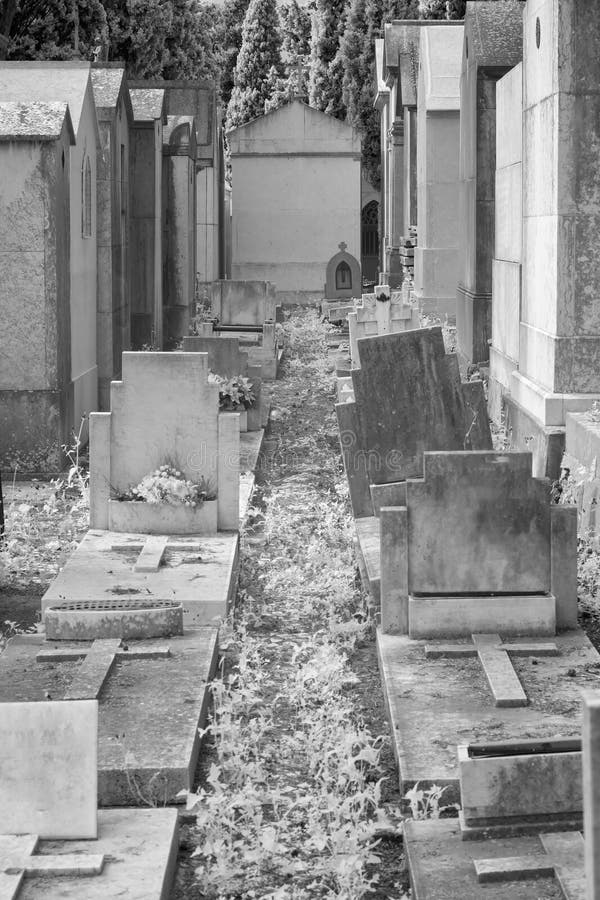Old european cemetery editorial stock image. Image of cemetery - 158159614