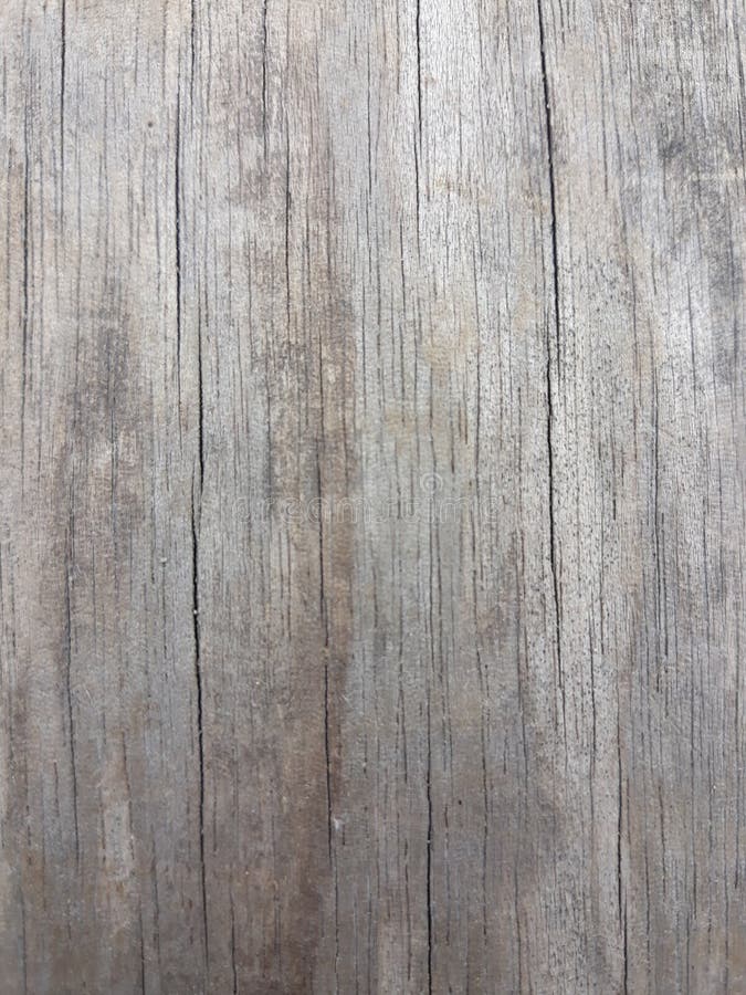 Back wood compilation stock image. Image of dark, compilation - 223361767