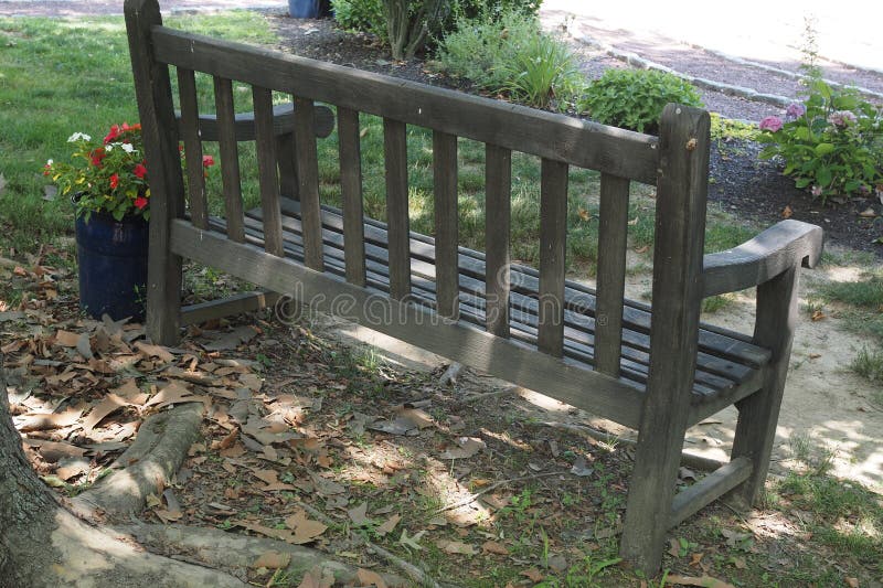 This is the Back of a Wooden Bench Under a Tree. Stock Photo - Image of ...