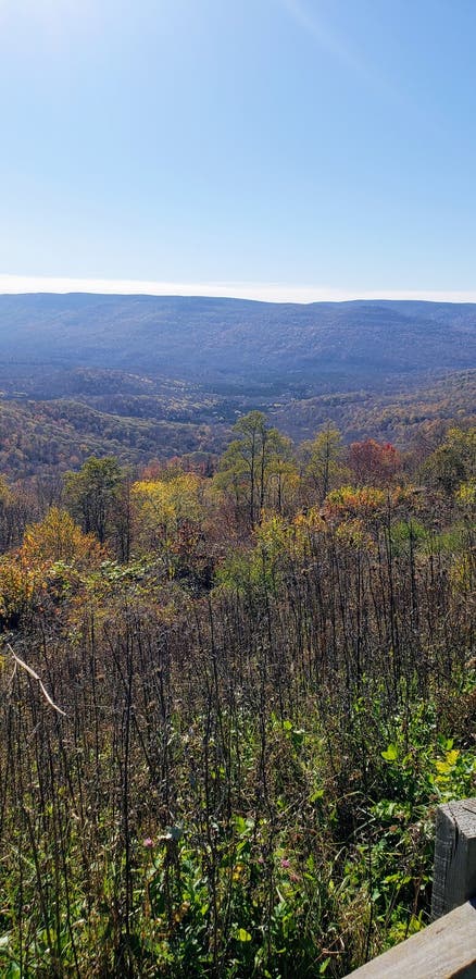 Back Woods Road stock image. Image of outdoor, outdoors, primeval - 3347