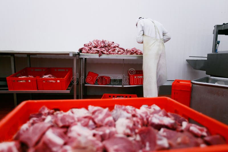 Back of a Anonymous Worker in Meat Factory, Chopped a Beef Meat in ...