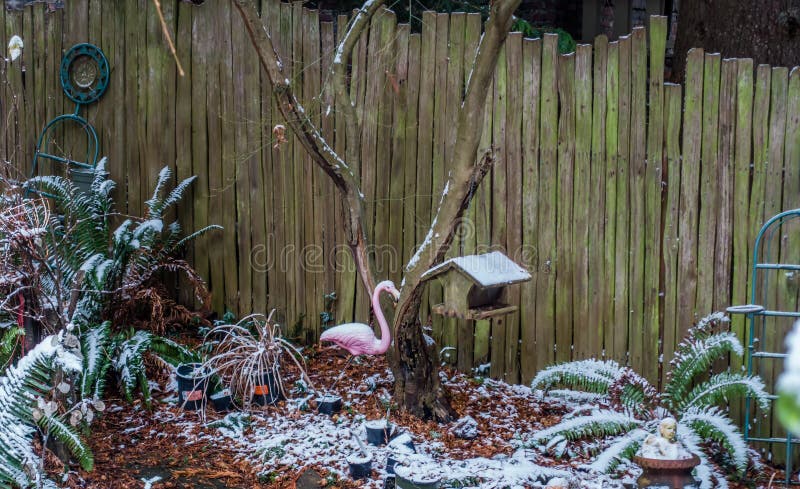 Back Yard Flamingo stock photo. Image of snow, flamingo - 106776406