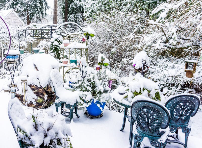 Back Yard in Snow 2 stock photo. Image of white, back - 139488906