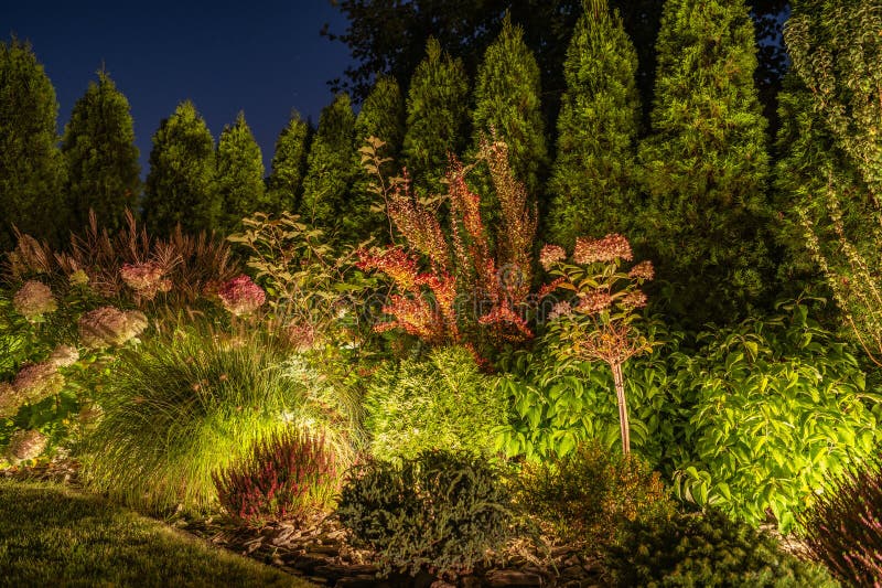 Back Yard Garden Illuminated by Modern LED Lighting System Stock Photo ...