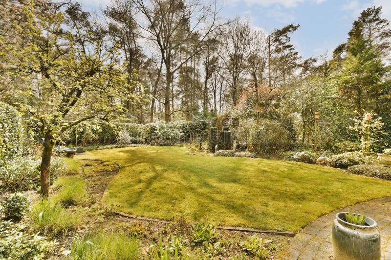 A Backyard with a Grass Lawn and Trees Stock Illustration ...