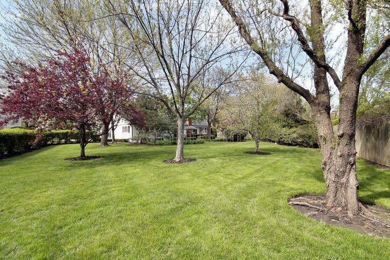 Back yard in spring stock photo. Image of residence, house - 9184482