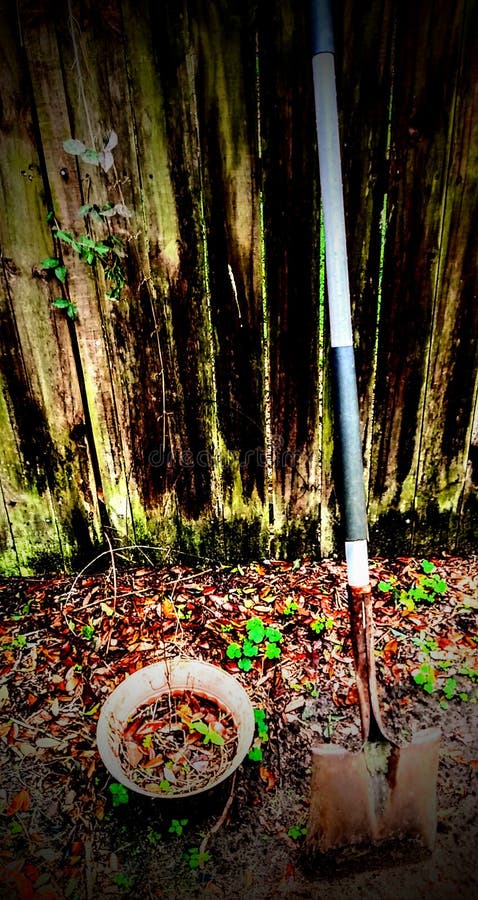 Back yard work stock photo. Image of yard, garden, nature - 192043388