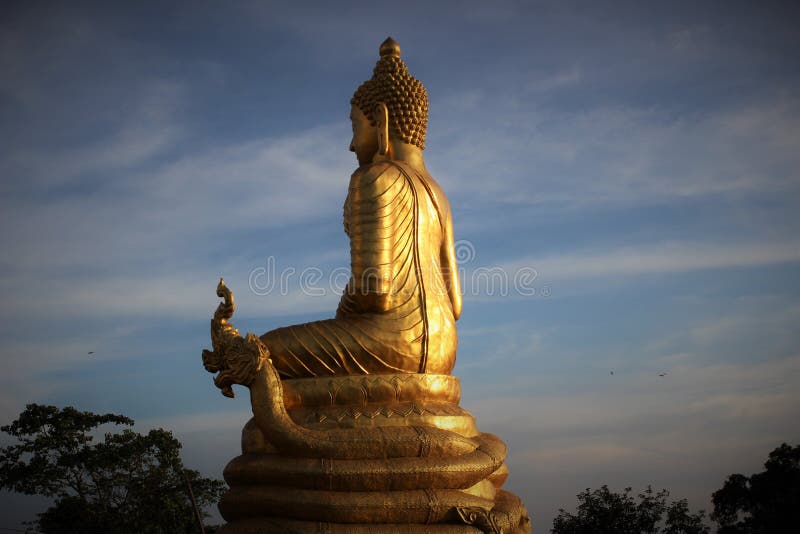 Back Yellow Buddha Monk Statue Stock Photo - Image of yellow, monk ...