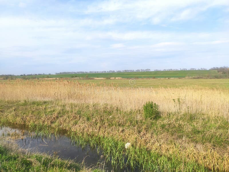 Backa Scenery Near Crvenka Serbia Spring Scenery Stock Image - Image of ...