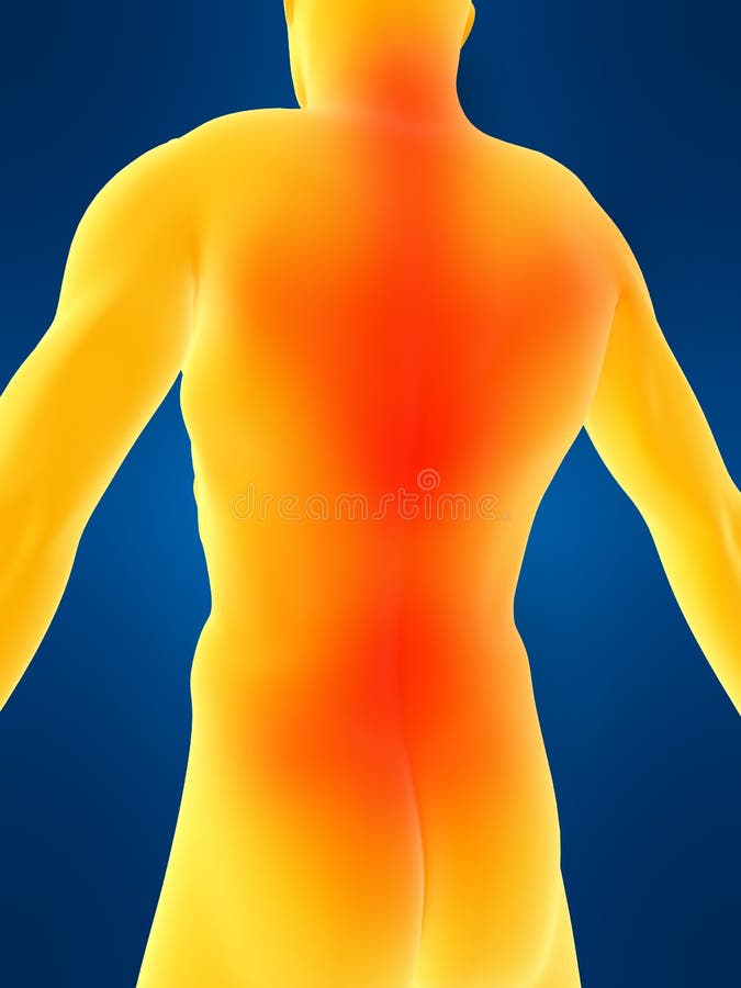 Backache stock illustration. Illustration of anatomical - 5564667
