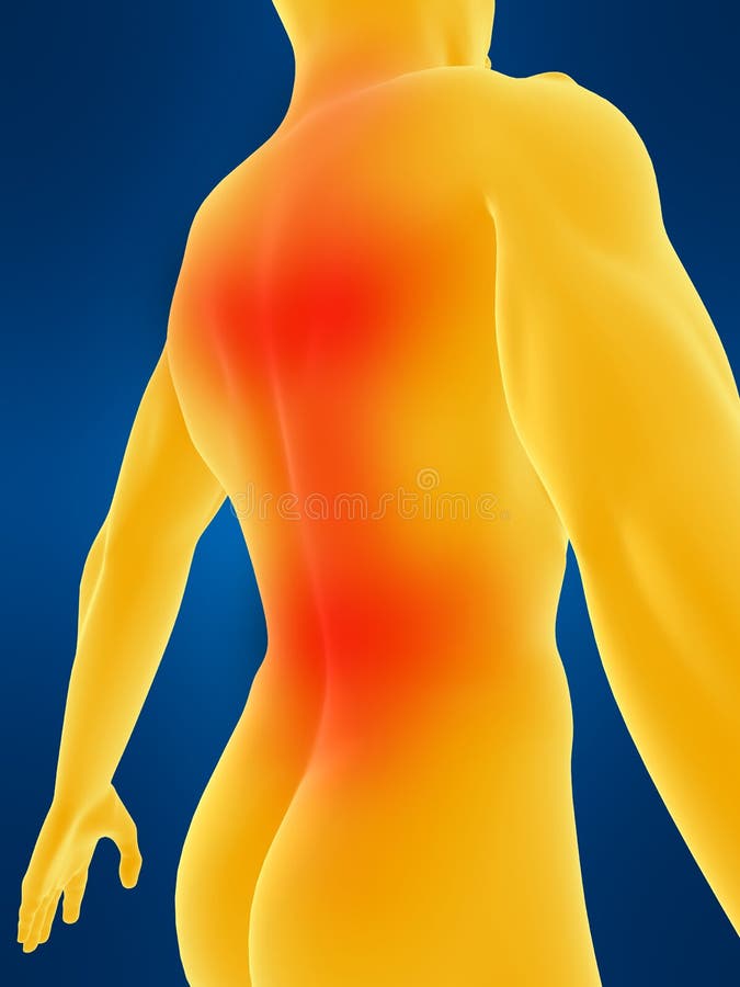 Backache stock illustration. Illustration of anatomical - 5564667