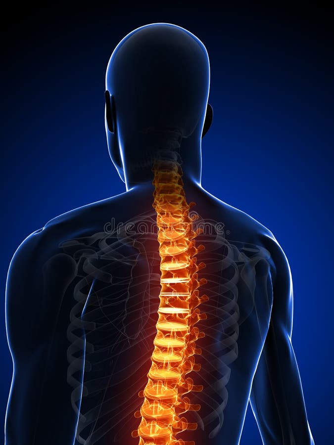 Backache illustration stock illustration. Illustration of human - 18584048