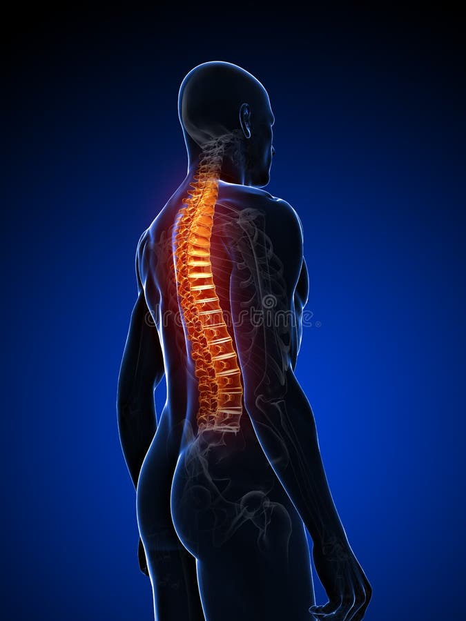 Backache illustration stock illustration. Illustration of biology ...