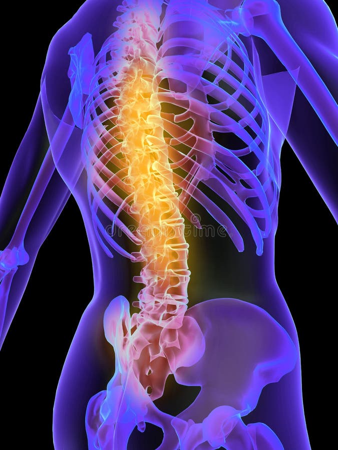 Backache illustration stock illustration. Illustration of ribs - 2934334