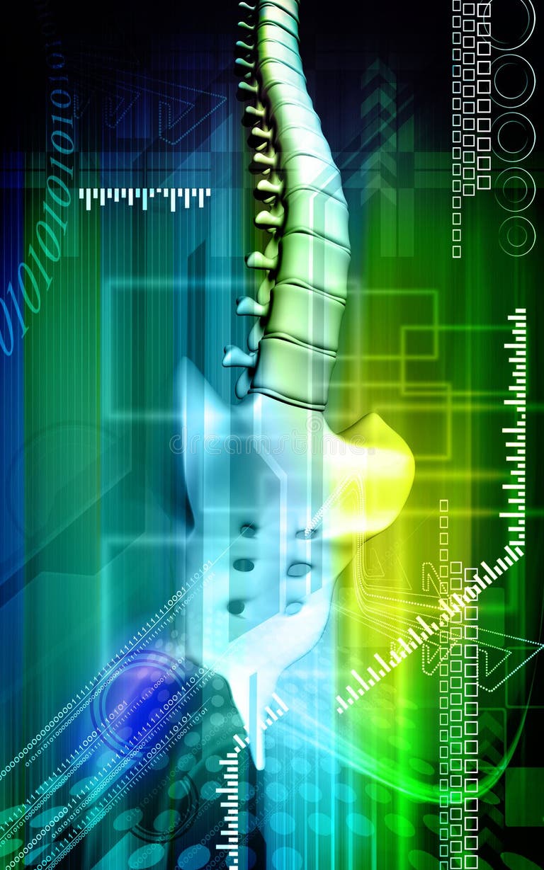 Backbone Background Stock Illustrations – 3,256 Backbone Background ...