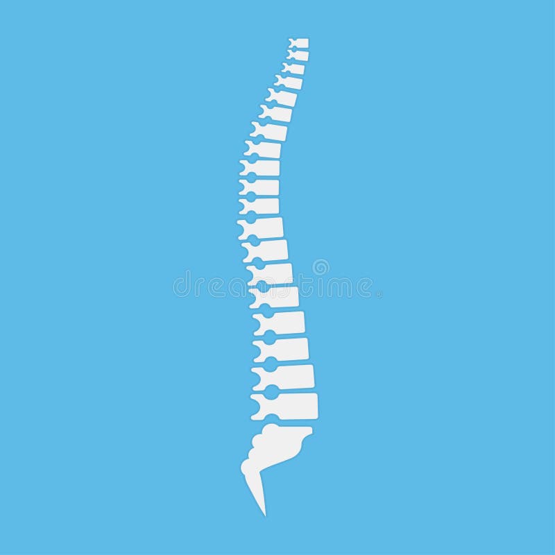 Backbone Icon, Black Vector Sign with Editable Strokes, Concept ... Backbone Icon, Black Vector Sign with Editable Strokes, Concept ...