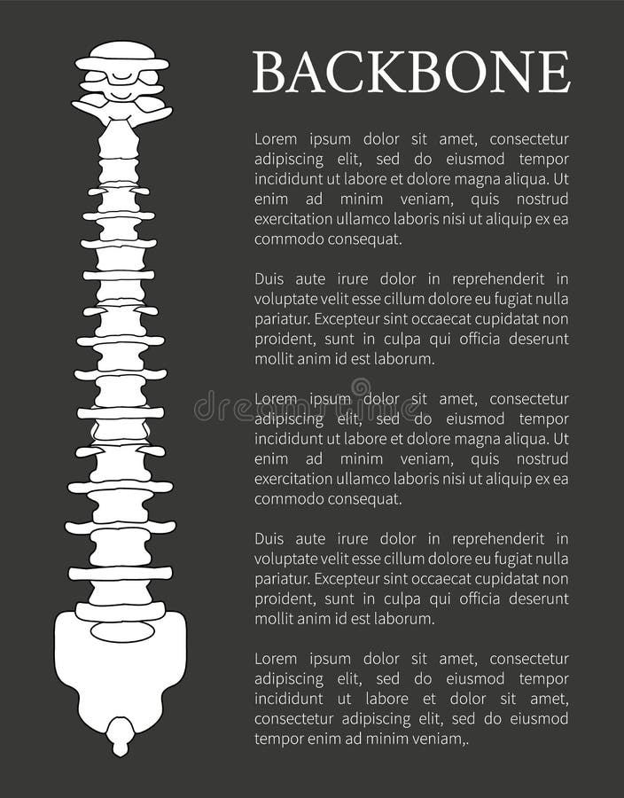 Backbone Poster and Text, Vector Illustration Stock Vector ...