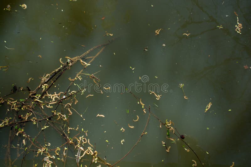 Great Backdrop and Backgrounds Textures in Abstract Form Stock Image ...