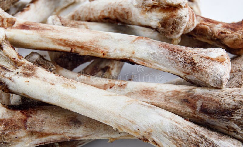 A Backdrop Of Chicken Bones. Chicken Bones Stock Image - Image of ...