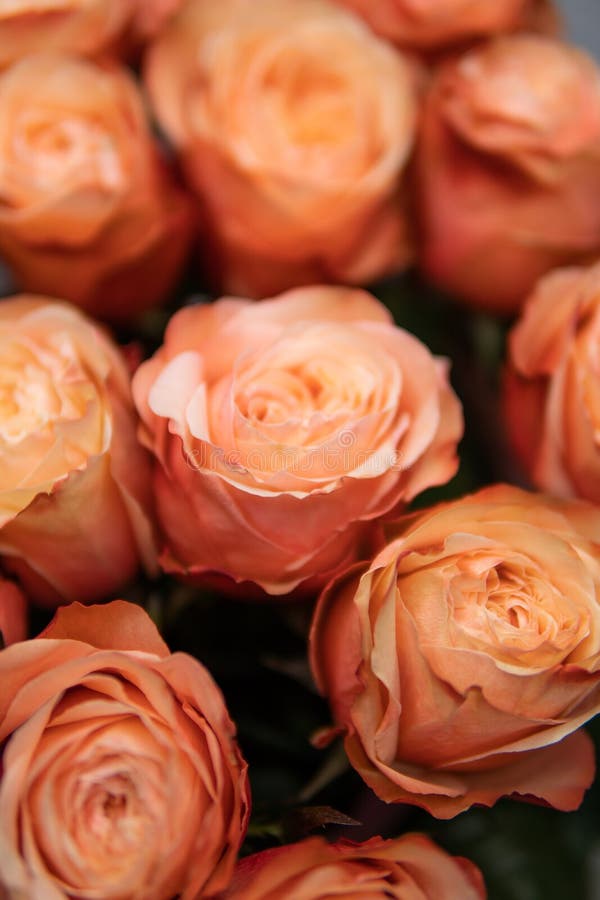 Backdrop of Colorful Paper Roses Background in a Wedding Reception with ...