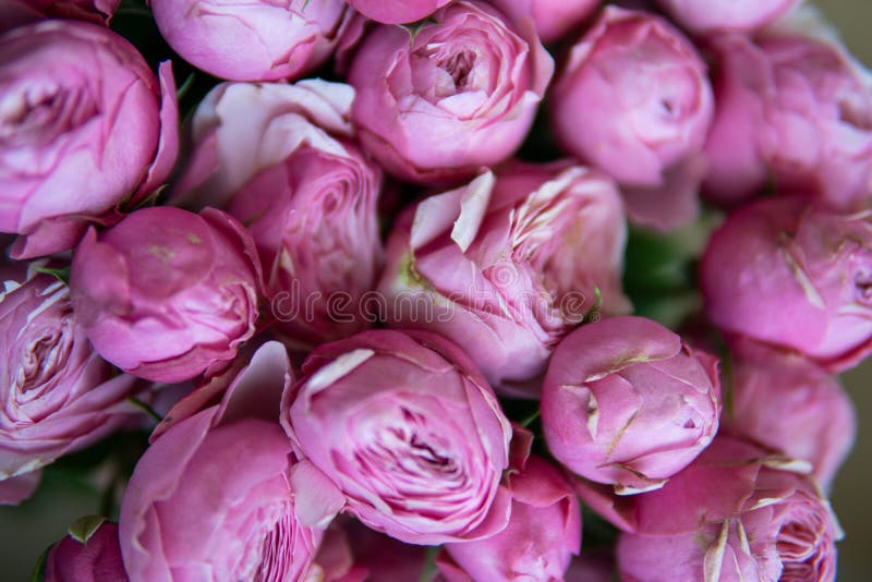 Backdrop of Colorful Paper Roses Background in a Wedding Reception with ...