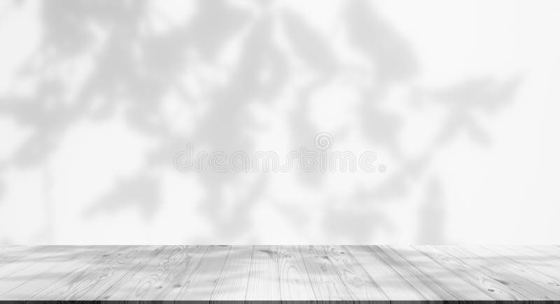 Backdrop Empty Gray Wooden Wall Room Background with Shadow Stock ...