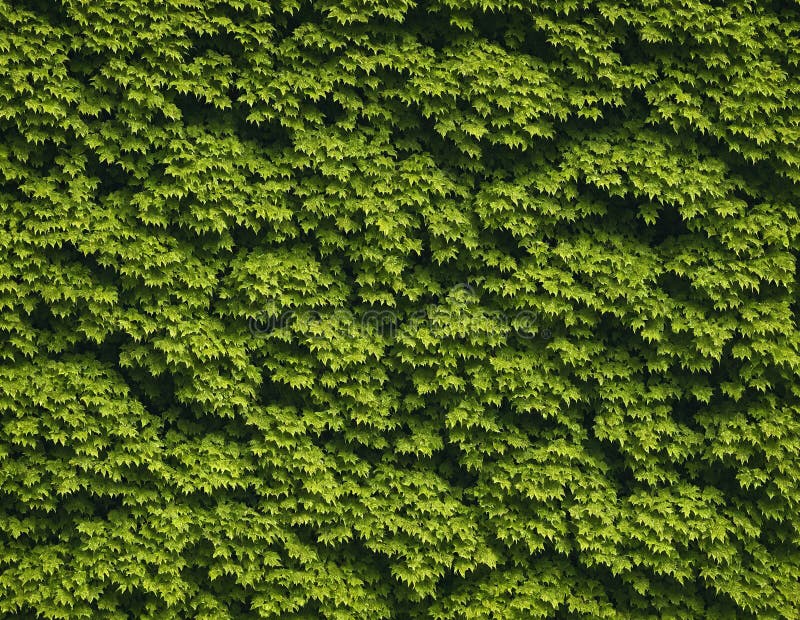 Wall of Leaves - Macro Backdrop. Stock Illustration - Illustration of ...