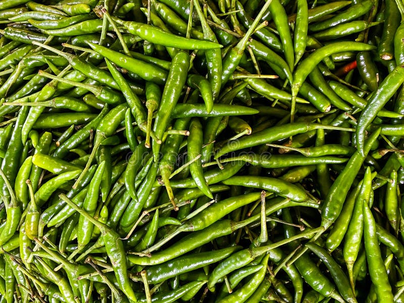 Backdrop of Green Chilli Peppers Texture Background. Close Up View with ...