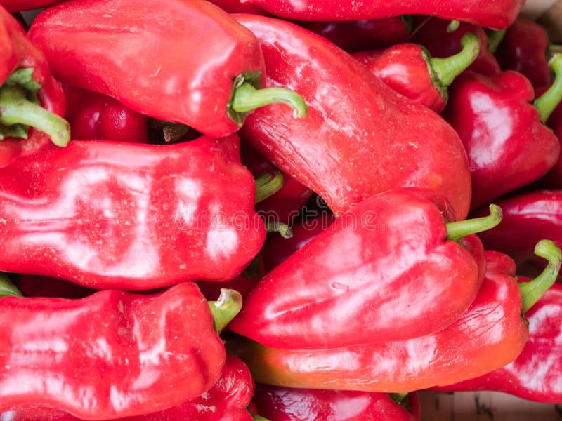 Backdrop of Stacked Large Red Peppers Stock Photo - Image of peppers ...