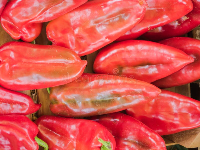 Backdrop of Stacked Large Red Peppers Stock Photo - Image of peppers ...