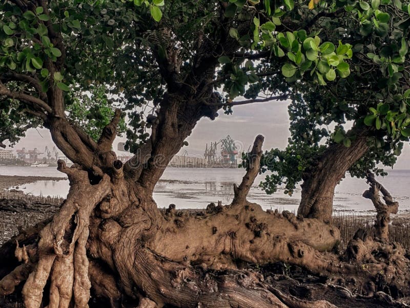 Dramatic Scene between Man and Woman. Man Cutting Female Angel Wings ...