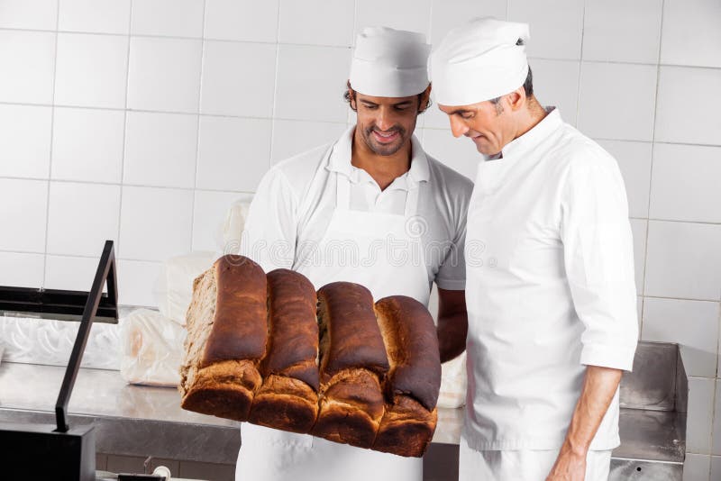 Backers Analyzing Bread Loaves in Bakery Stock Image - Image of loaves ...