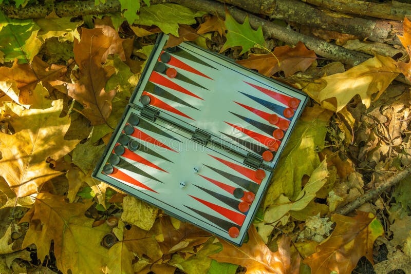 Backgammon Layout on a Board in Autumn Leaves. Backgammon Game Stock ...