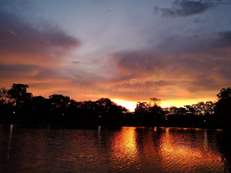 Sunset Evening Behind Shadow Black Tree Reflect Stock Image - Image of ...