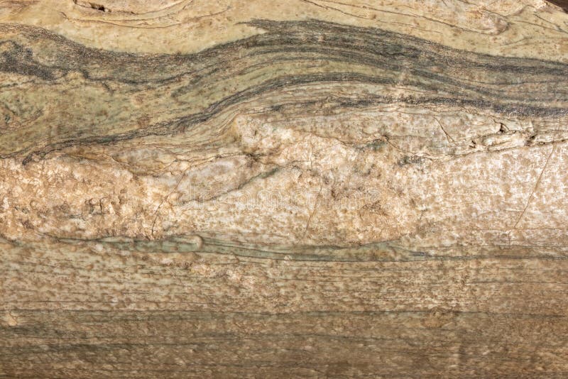 Textured Multi Toned Pale Brown with Olive Green Wave Design Marble ...