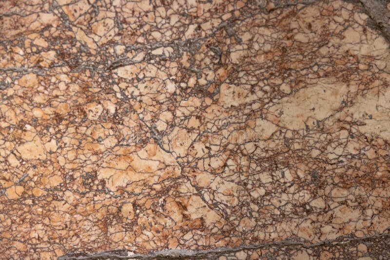 High Res Old Smooth and Weathered Multi Earth Toned with Natural ...
