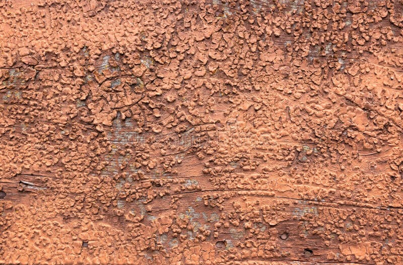 Old Grunge and Weathered Multi Toned Brown Clay Wood Wall Texture ...