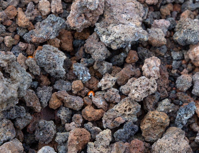 Natural Brown, Black and Red Volcanic Lava Small Stones Close Up with a ...