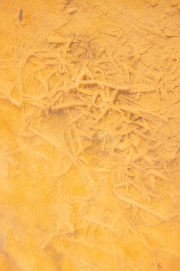 Bright Yellow Natural Salt Pans Flat with Algae Water Close Up ...