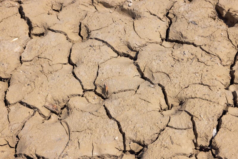 Drought Light Color Argilla Soil with Large Cracks Background Close Up ...